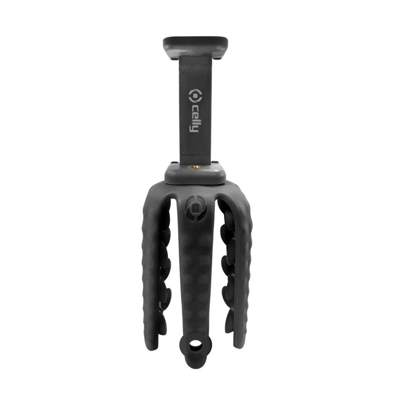 celly SQUIDDY New | SHOP FOCAL