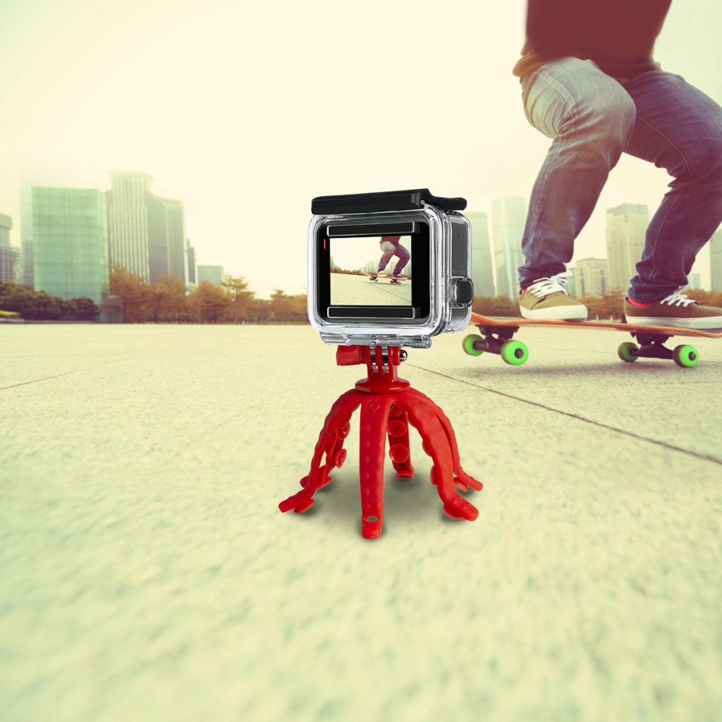 celly SQUIDDY New | SHOP FOCAL