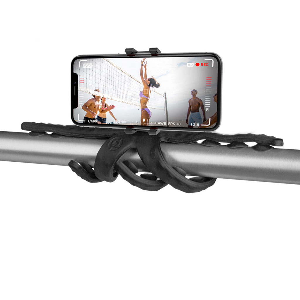 celly SQUIDDY Max | SHOP FOCAL